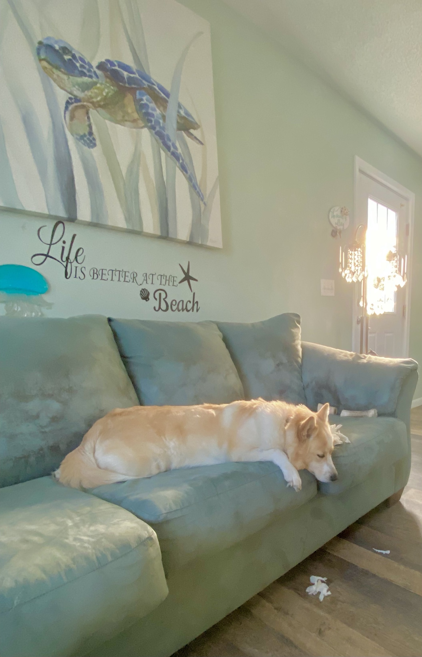 In Trouble Again – Gypsie’s Wonderful World of Words