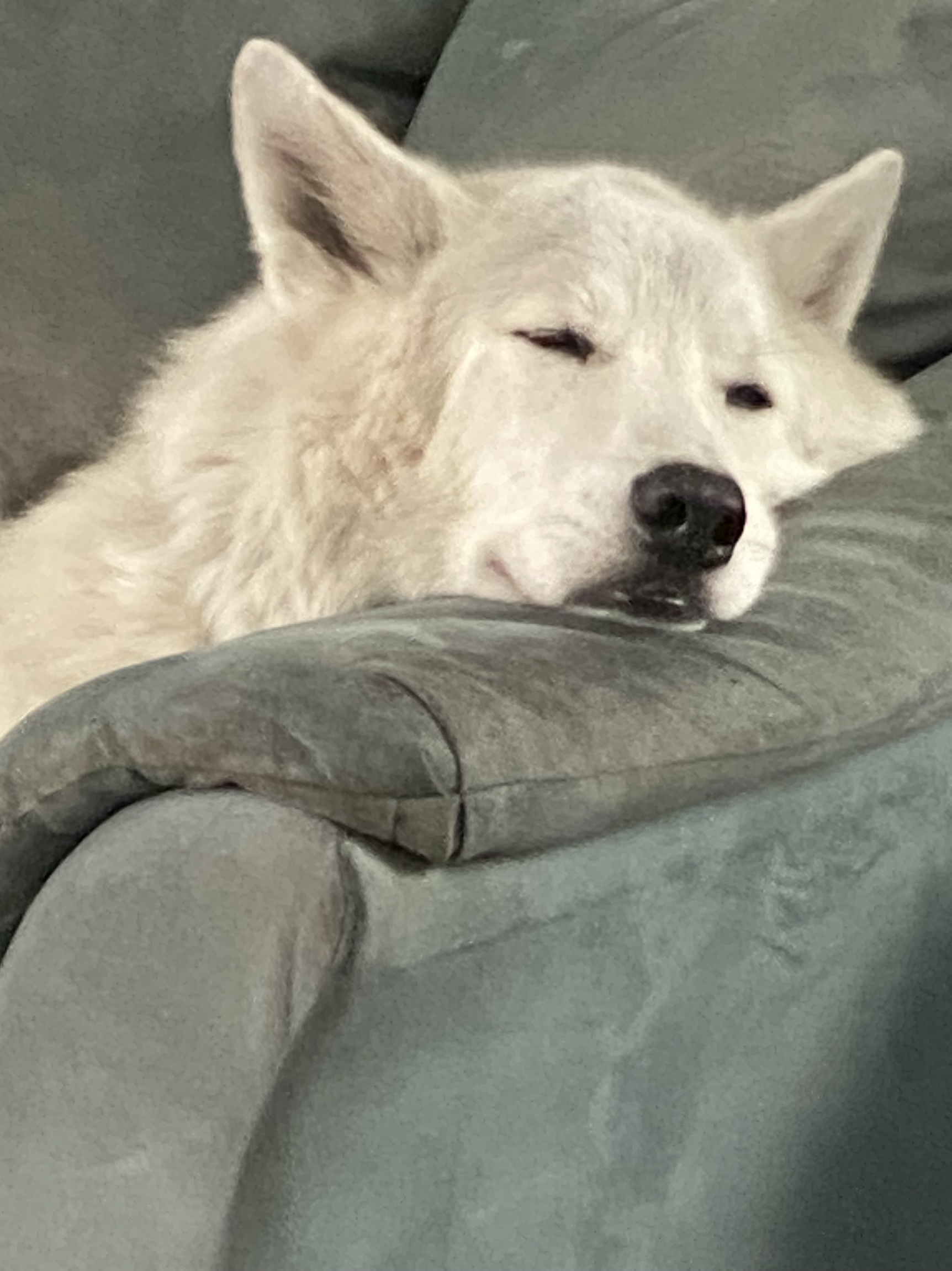 Photographs by Gypsie-Ami Offenbacher-Ferris – Gypsie’s Wonderful World ...