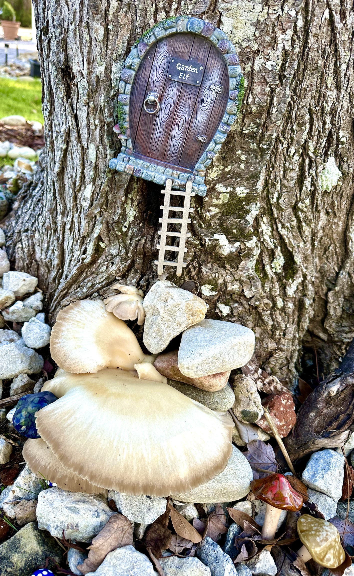 Massive Mushrooms – Gypsie’s Wonderful World of Words